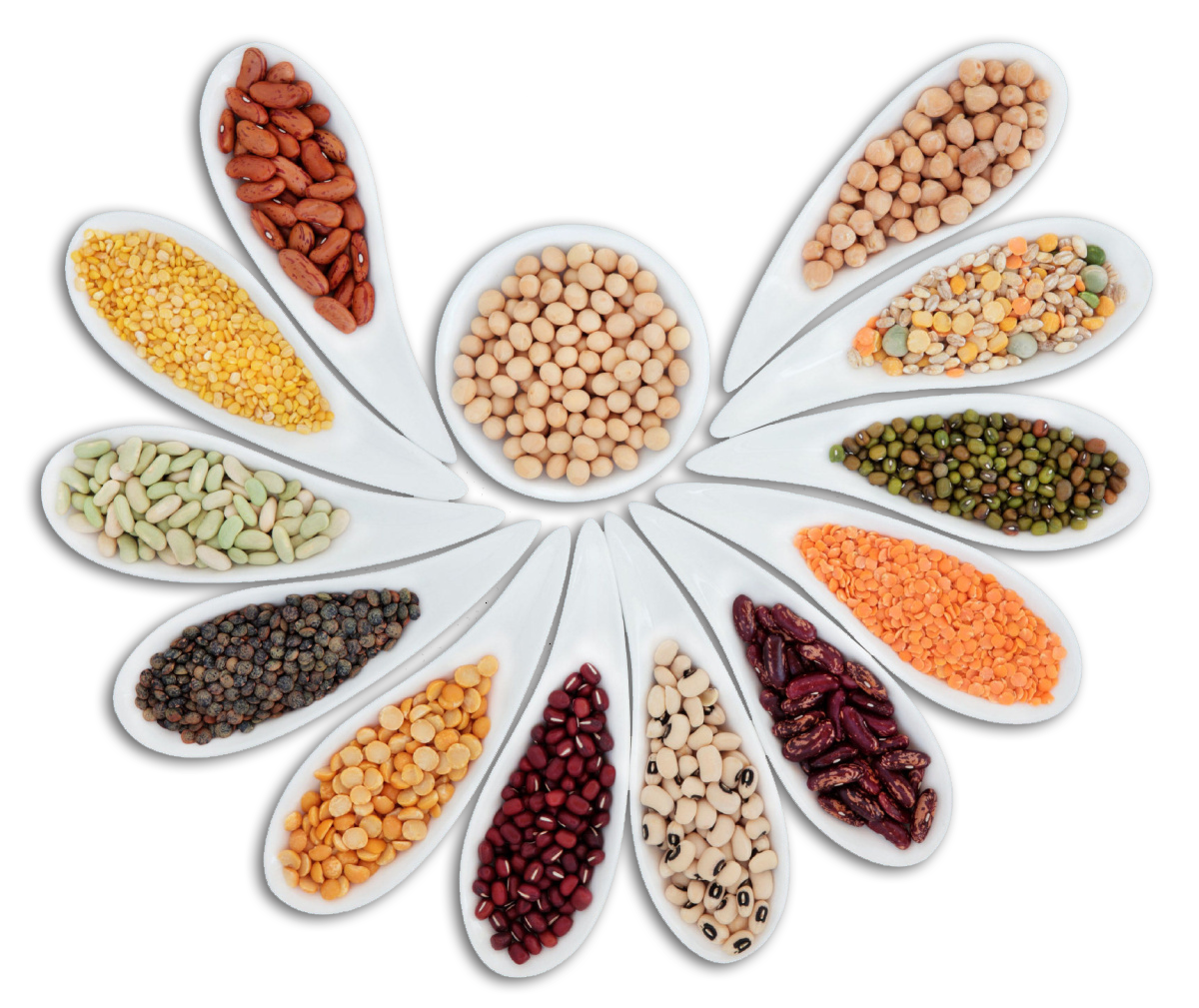 Dal & Pulses – TROPICAL HERITAGE